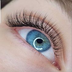 One-by-one-extensions - Beautystudio Top2Toe - Schoonheidssalon en ...
